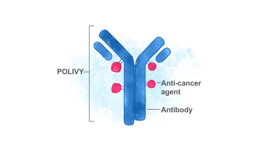 How does POLIVY® Work?