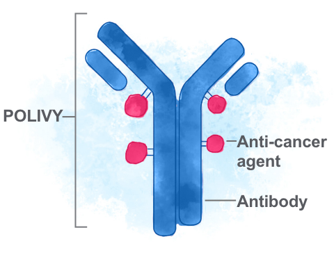 How does POLIVY® Work?